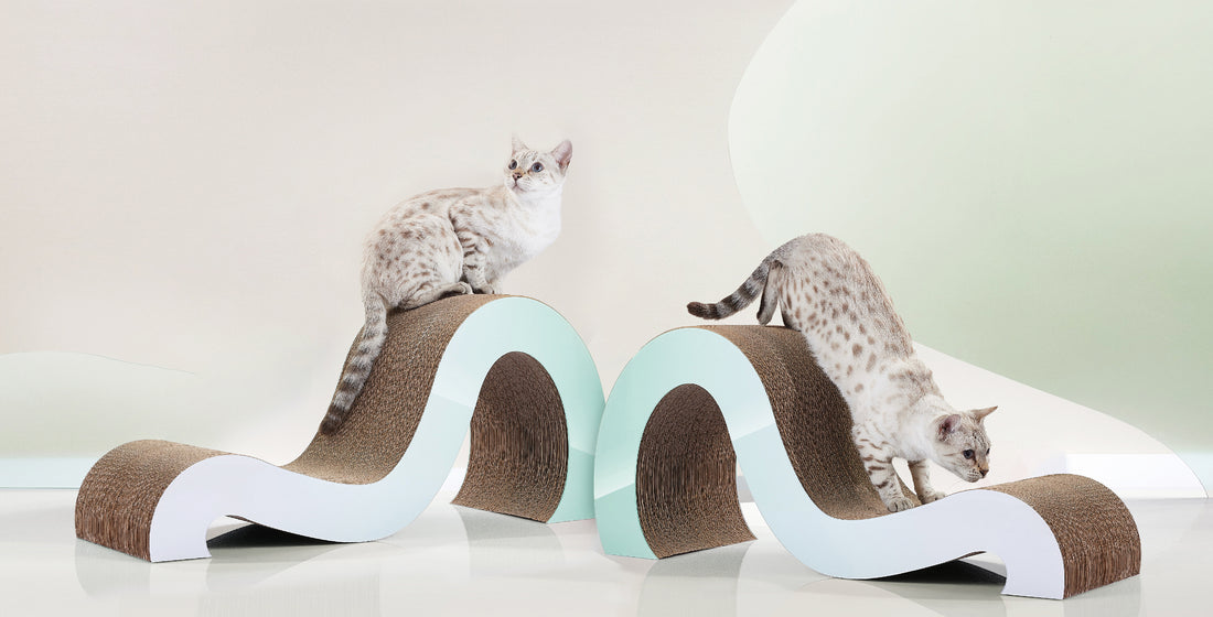 Mint! Mint!™ – Modern Cardboard Cat Scratcher Bed – Fits Large Cats ...